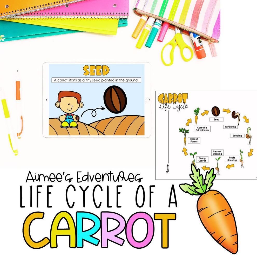 Carrot Life Cycle | Fun Science Activities – AimeesEdventuresLLC